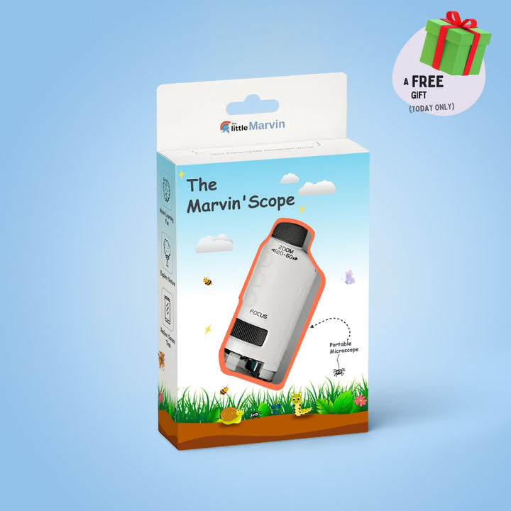 Educational & STEM Toys for Kids – The Little Marvin