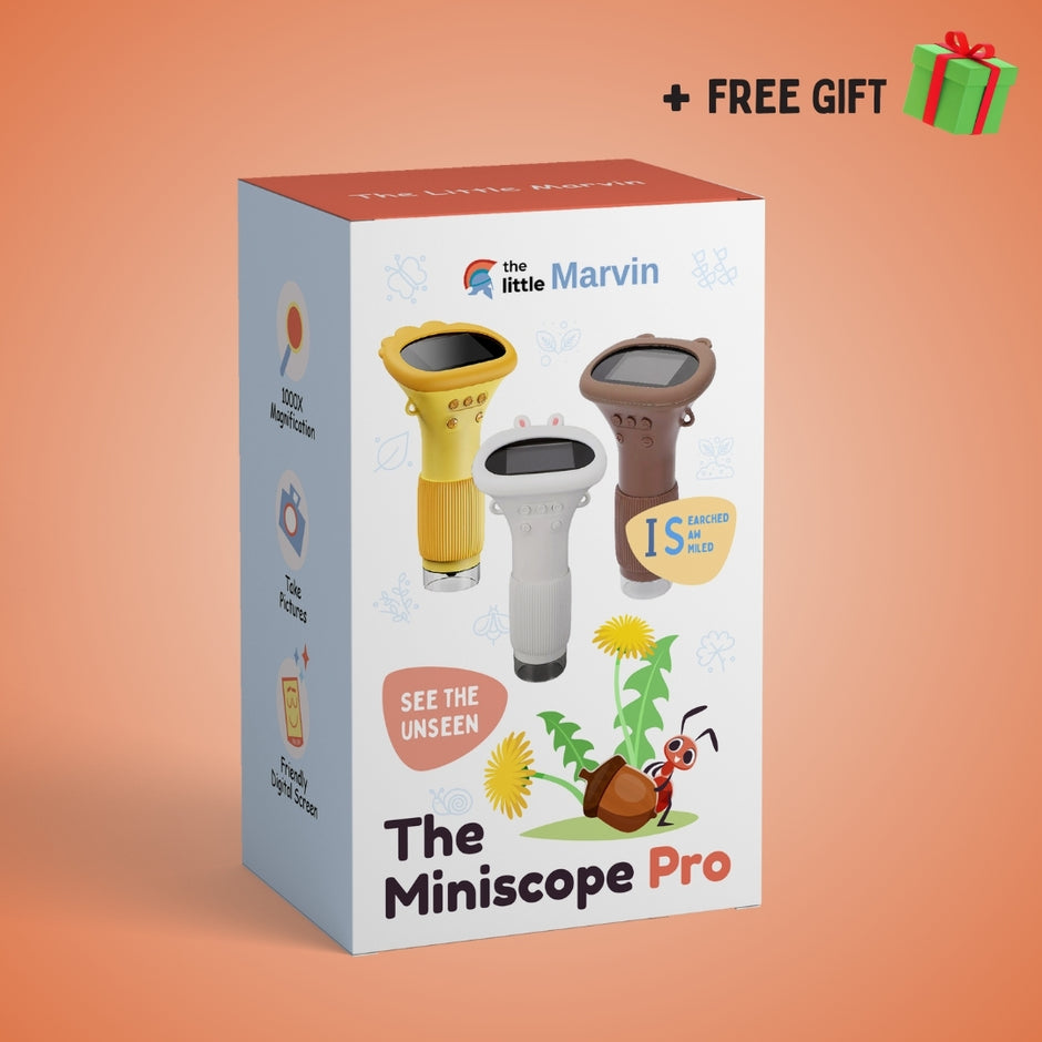 Educational & STEM Toys for Kids – The Little Marvin