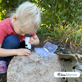 The Marvin Scope | 120x Portable Pocket Microscope – The Little Marvin